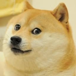 Free Meme Generator — No Watermarks, No Sign-Up | Meme0